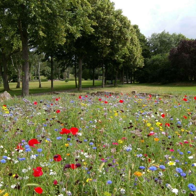 MAXX Factory - mit uns die Welt ein kleines bisschen besser machen | MAXX-Factory